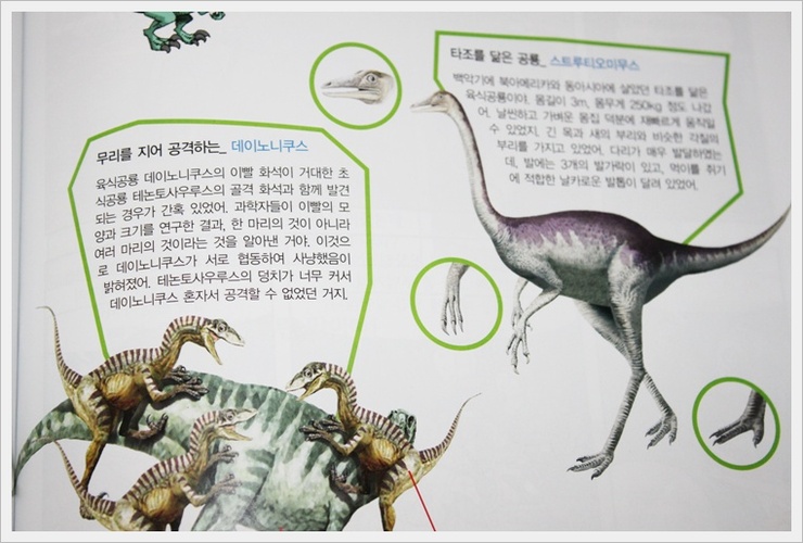 아기공룡 둘리 과학 대탐험 공룡파크 음모를 막아라 학습만화공룡과학도서둘리시리즈 네이버 블로그