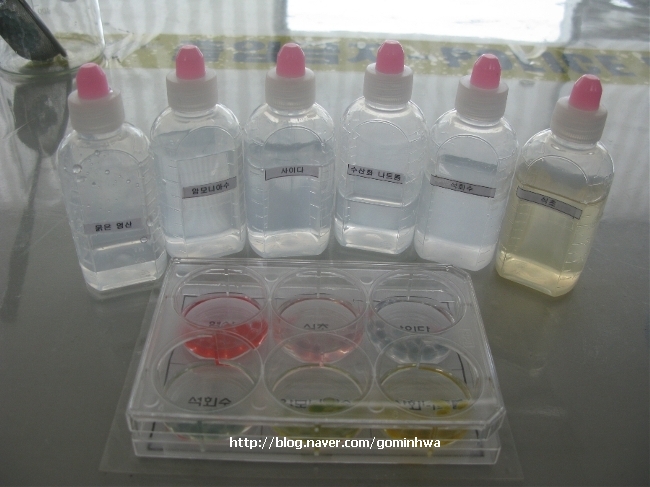 양배추 지시약 Exp 2 신기한 카멜레온 볼 만들기 네이버 블로그