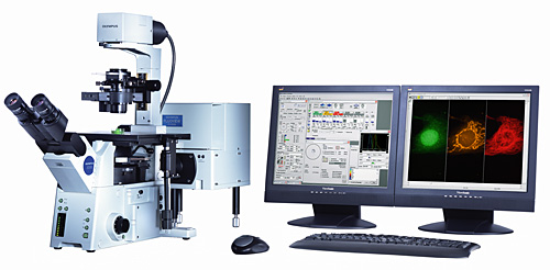 OLYMPUS Fluoview FV1000 Confocal Microscope(올림푸스 콘포칼 현미경) : 네이버 블로그