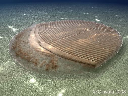 요르기아 [Yorgia] : 네이버 블로그