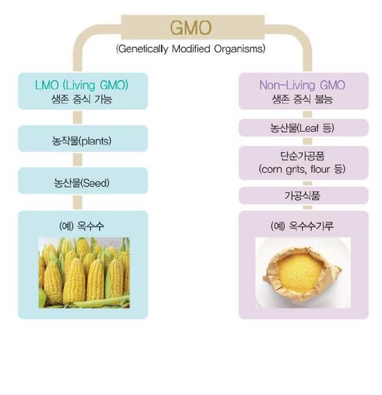 Gmo와 Lmo의 차이점 네이버 블로그