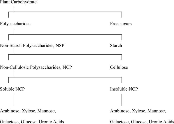 NSP의 구분 : 네이버 블로그