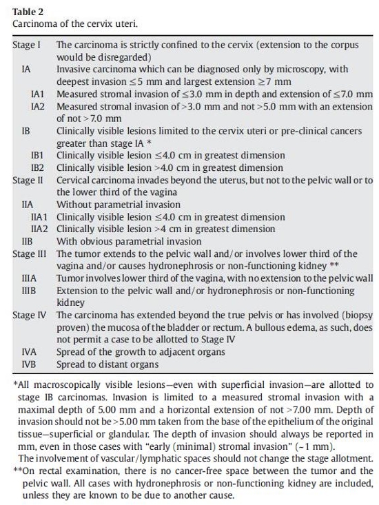 [의학멘토링] 부인과 암의 병기 - Revised 2009 FIGO Staging : 네이버 블로그