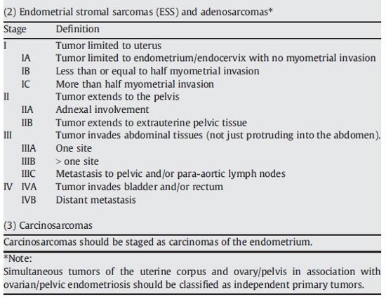 [의학멘토링] 부인과 암의 병기 - Revised 2009 FIGO Staging : 네이버 블로그