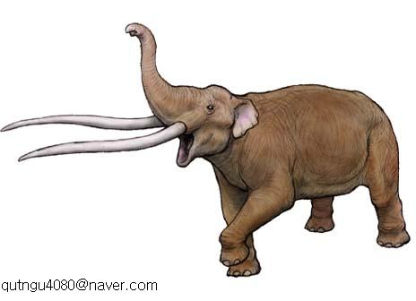 아난쿠스(Anancus)-일직선으로 뻗은 상아- : 네이버 블로그