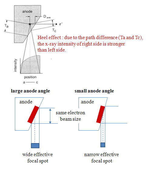 Heel effect : 네이버 블로그