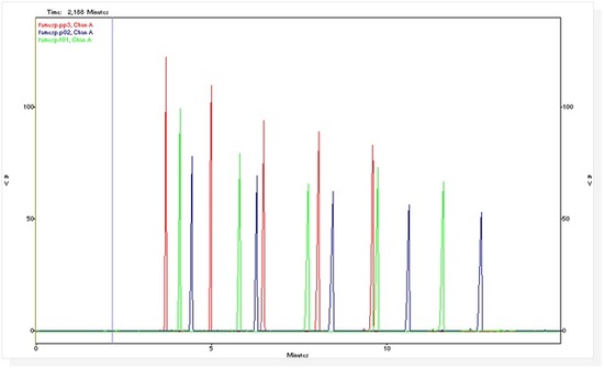 가스 크로마토그래피 원리 및 기기에 대한 이해theory Of Gas Chromatographygc 네이버 블로그