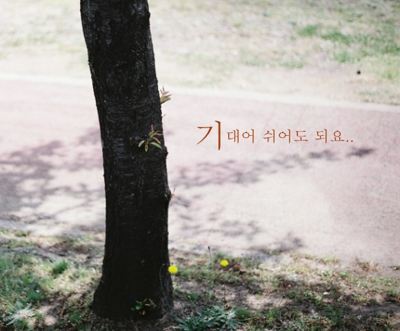 [제주] 가끔, : 네이버 블로그