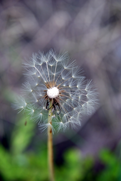 내 인생이란 이름의 긴의자.. : 네이버 블로그