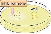 Antibacterial Test (항균실험 - Agar diffusion assay) : 네이버 블로그