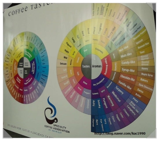 Coffee Taster's Flavor Wheel : 네이버 블로그