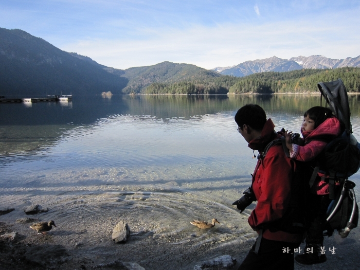 [Garmisch-Partenkirchen][Zugspitze] 고요한 아입제(Eibsee)에서는 오리가 반겨주는구나 ...