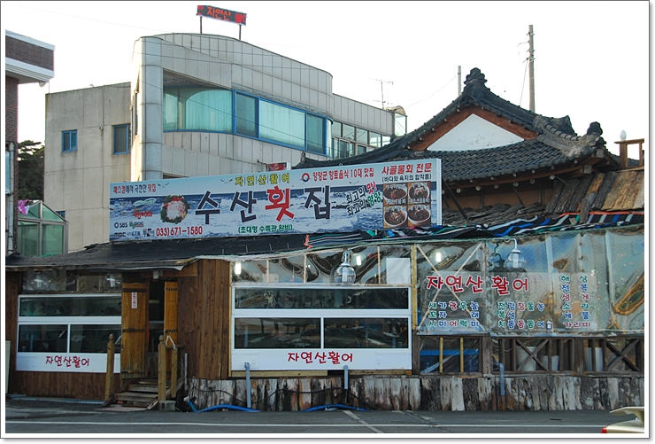 강원도양양맛집 수산횟집 양양 수산항 물회가유명한집 네이버 블로그