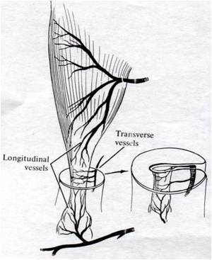 [Text] 아킬레스 건 : Achilles Tendon by SungHun.Kim. : 네이버 블로그