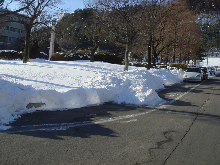 20110109_대박 눈 이후의 모습.... : 네이버 블로그