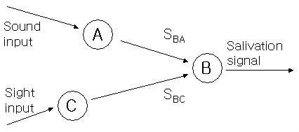 Donald Hebb - Hebbian Learning Rule - : 네이버 블로그