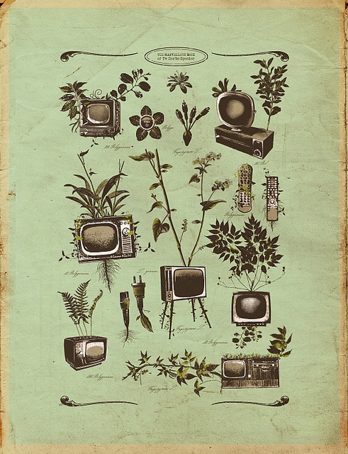 빈티지 느낌이 물씬 나는 Joao Lauro Fonte의 일러스트 : 네이버 블로그