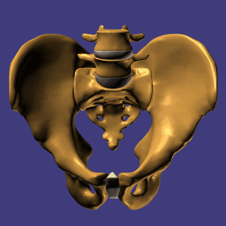 천장관절 증후근(Sacro Iliac joint syndrome)이란? : 네이버 블로그