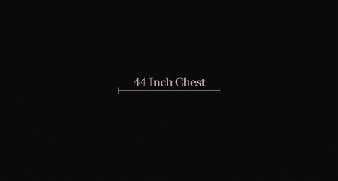 44인치 가슴 (44 Inch Chest, 2009) : 네이버 블로그