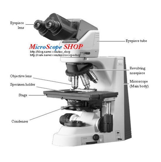 [NIKON] Clinical & Laboratory Microscopes ECLIPSE 50i/55i 현미경 명칭 : 네이버 블로그