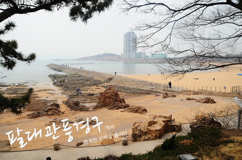 청도 여행 중국의 바다 팔대관풍경구와 칭다오만풍경구의 잔교에서 산책을~ 중국 청도 가볼만한곳 3탄 네이버 블로그