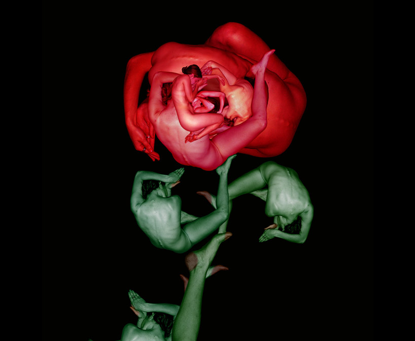 cecelia webber: flowers and butterflies from human nudes : 네이버 블로그