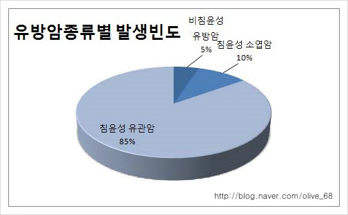 유방암종류 침윤성 유방암의 예후를 아시나요 네이버 블로그