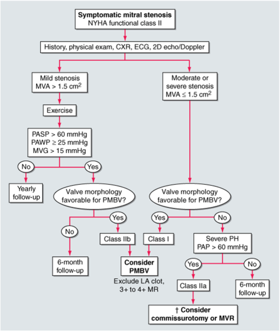 PMBV(경피적 승모판막 풍선 성형술)에 관하여 : 네이버 블로그