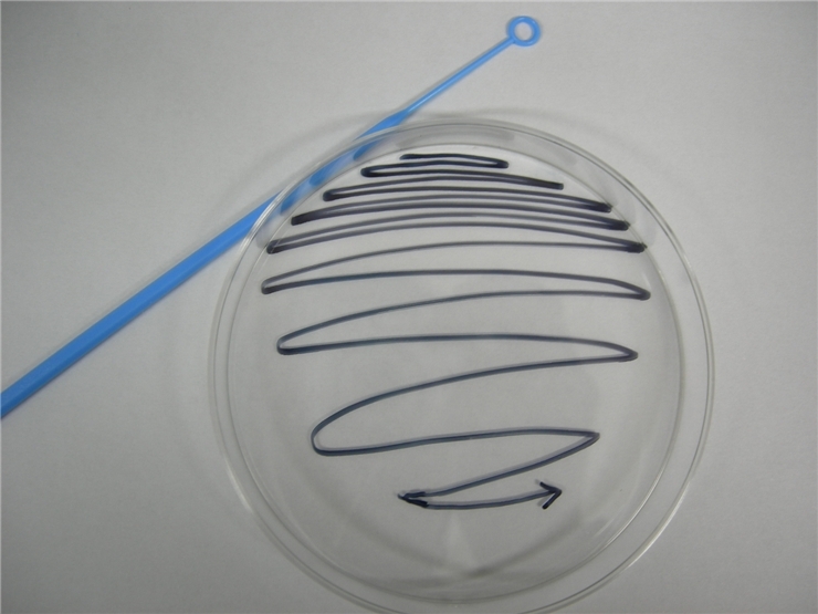 도말법 ( Streaking & Spreading ) : 네이버 블로그