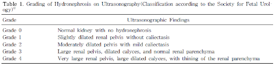 hydronephrosis,grade : 네이버 블로그