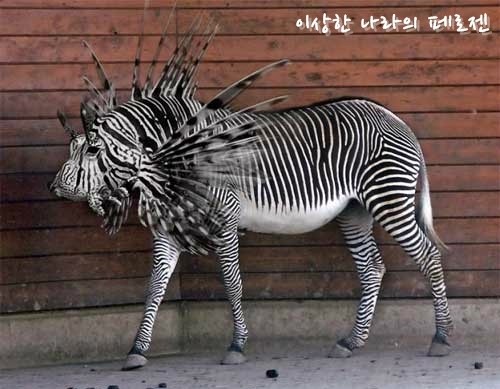 [재미있는 착시현상] 세상에서 가장 이상한동물 웃긴합성사진 / 페로젠 : 네이버 블로그