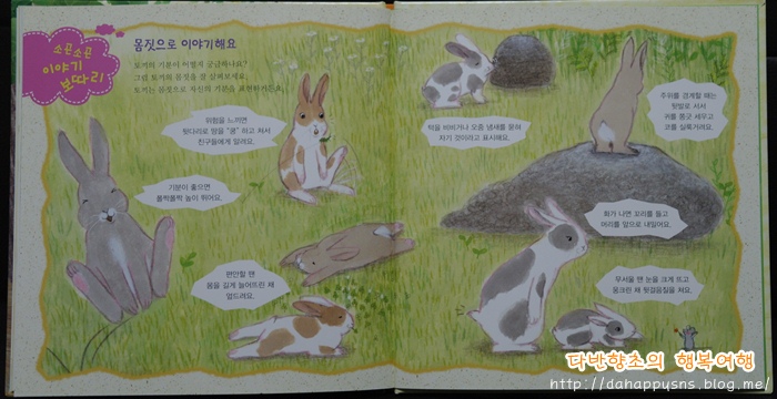 연두비자연관찰 쫑알이 말하는 첫 자연관찰 쫑알이귀가 긴 토끼 궁금한게 많은 고양이 네이버 블로그