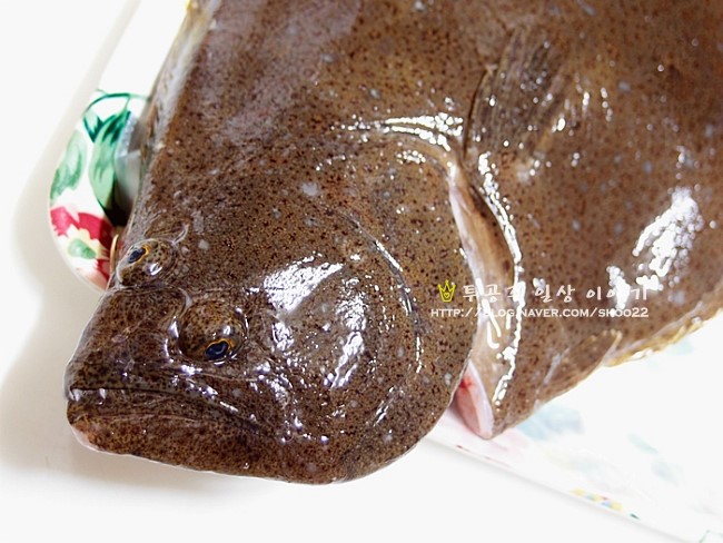 광어요리 광어구이 넙치구이 광어스테이크 네이버 블로그