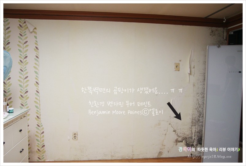 친환경페인트 벽지위에 바르는 페인트벤자민무어 페인트로 우리집 거실 대변신~ 네이버 블로그