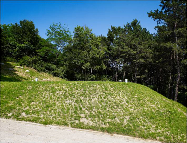 Earth House / BCHO Architects : 네이버 블로그