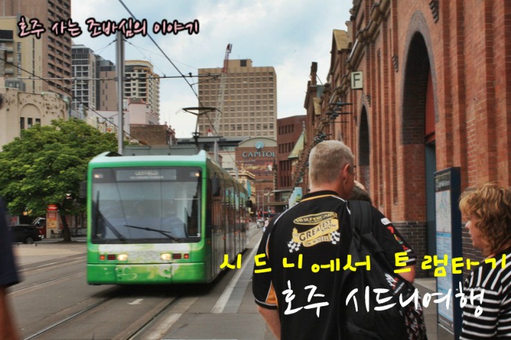호주 시드니여행 시드니에서 트램타기안작브릿지 네이버 블로그