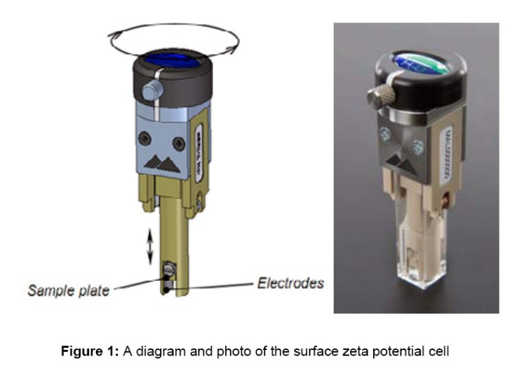 Surface Zeta Potential Cell | Malvern Panalytical