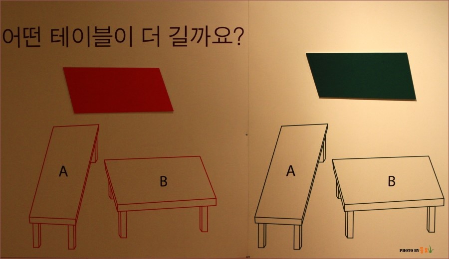 명화속 과학체험전 명화속에서 숨어있는 과학을 찾아라프랙탈 아나모르포시스마법진 황금비율 광학 네이버 블로그