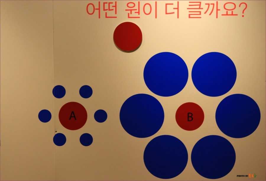 명화속 과학체험전 명화속에서 숨어있는 과학을 찾아라프랙탈 아나모르포시스마법진 황금비율 광학 네이버 블로그