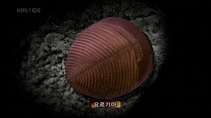 [고생대 : 5억5천만년~2억5천만년전] 산소량의 급증과 급감 - 콜라겐과 다세포 생물의 출현, 대량 사멸 : 네이버 블로그