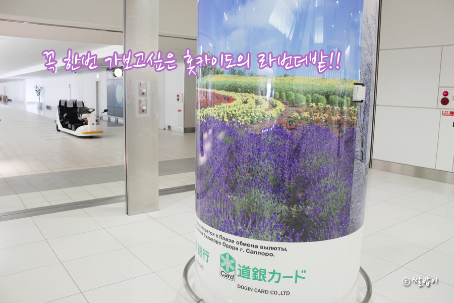 삿포로여행 홋카이도여행 ②신치토세 공항 삿포로오타루웰컴패스 네이버 블로그