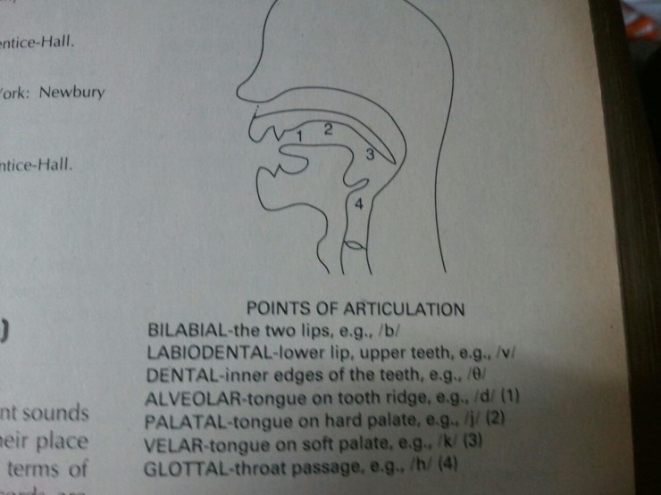 영어의 자음과 모음 체계 : The English Sound System ( General American English ...