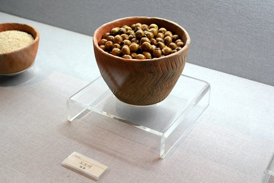 부산여행 부산 영도 동삼동패총전시관 신석기시대의 대표적 문화유산인 동삼동패총 부산 가볼만한곳 네이버 블로그