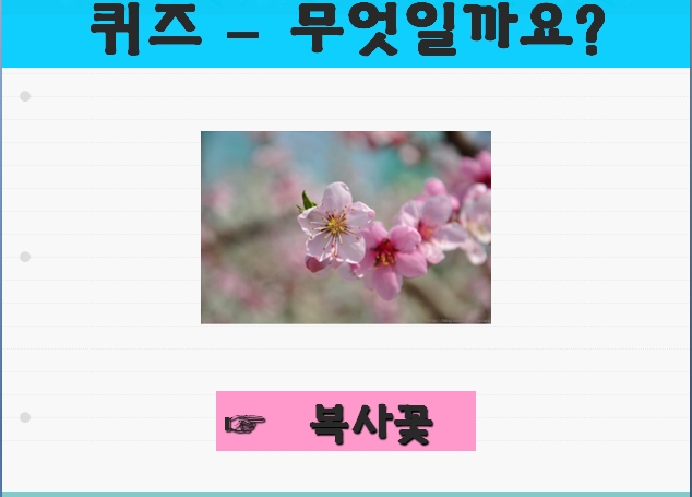 인지과학 봄꽃의종류꽃이름알기사계절알기봄에하는일봄날씨그림자연결하기봄꽃퀴즈무료프린트학습지무료유아학습지 네이버 블로그
