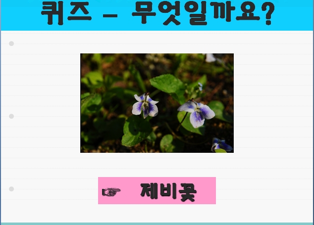 인지과학 봄꽃의종류꽃이름알기사계절알기봄에하는일봄날씨그림자연결하기봄꽃퀴즈무료프린트학습지무료유아학습지 네이버 블로그