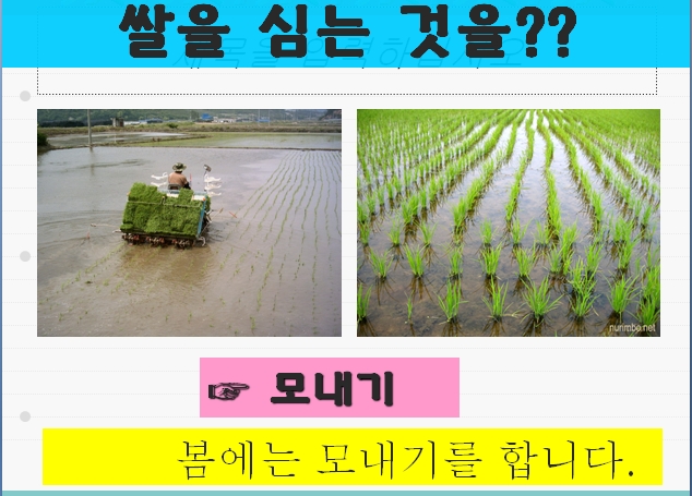 인지과학 봄꽃의종류꽃이름알기사계절알기봄에하는일봄날씨그림자연결하기봄꽃퀴즈무료프린트학습지무료유아학습지 네이버 블로그