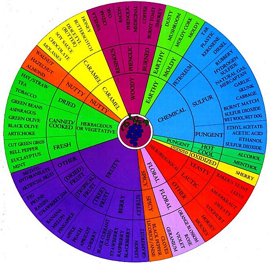 플레이버휠(Flavor Wheel), 다양한 향미를 담아내다 : 네이버 블로그