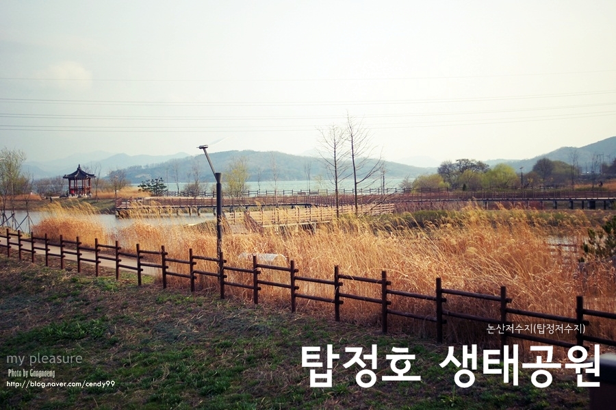 충남 논산여행 탑정호수변 생태공원 논산 탑정 저수지 네이버 블로그