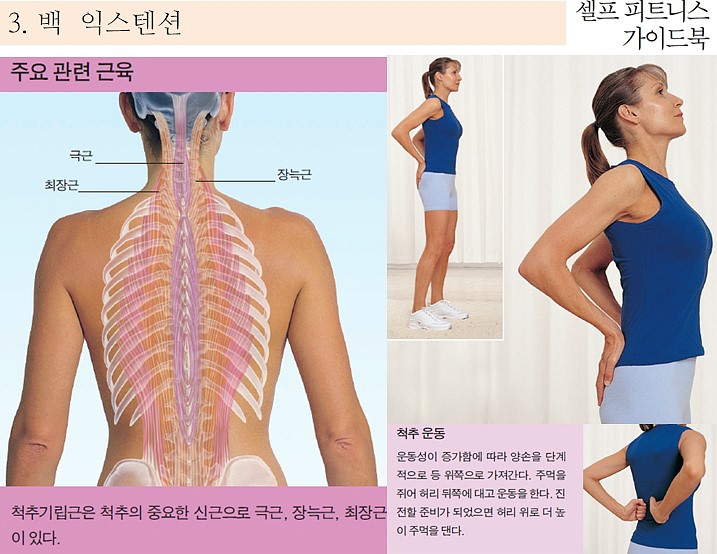 여자 근력운동 집에서 하는 셀프 여자 근력운동법 네이버 블로그