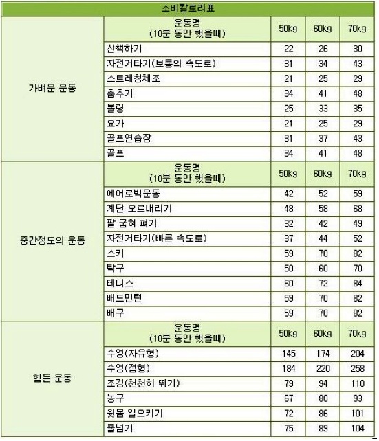 다이어트 시작 기본 4 기초대사량 활동대사량 네이버 블로그